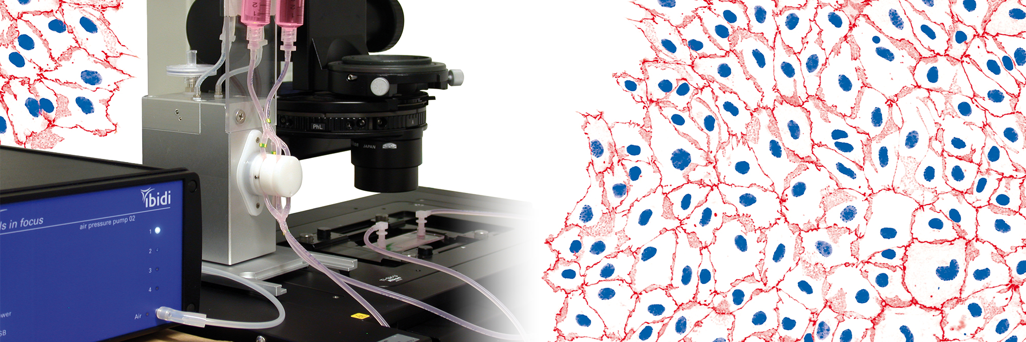 Development and sale of scientific products | Proxylab Belgium